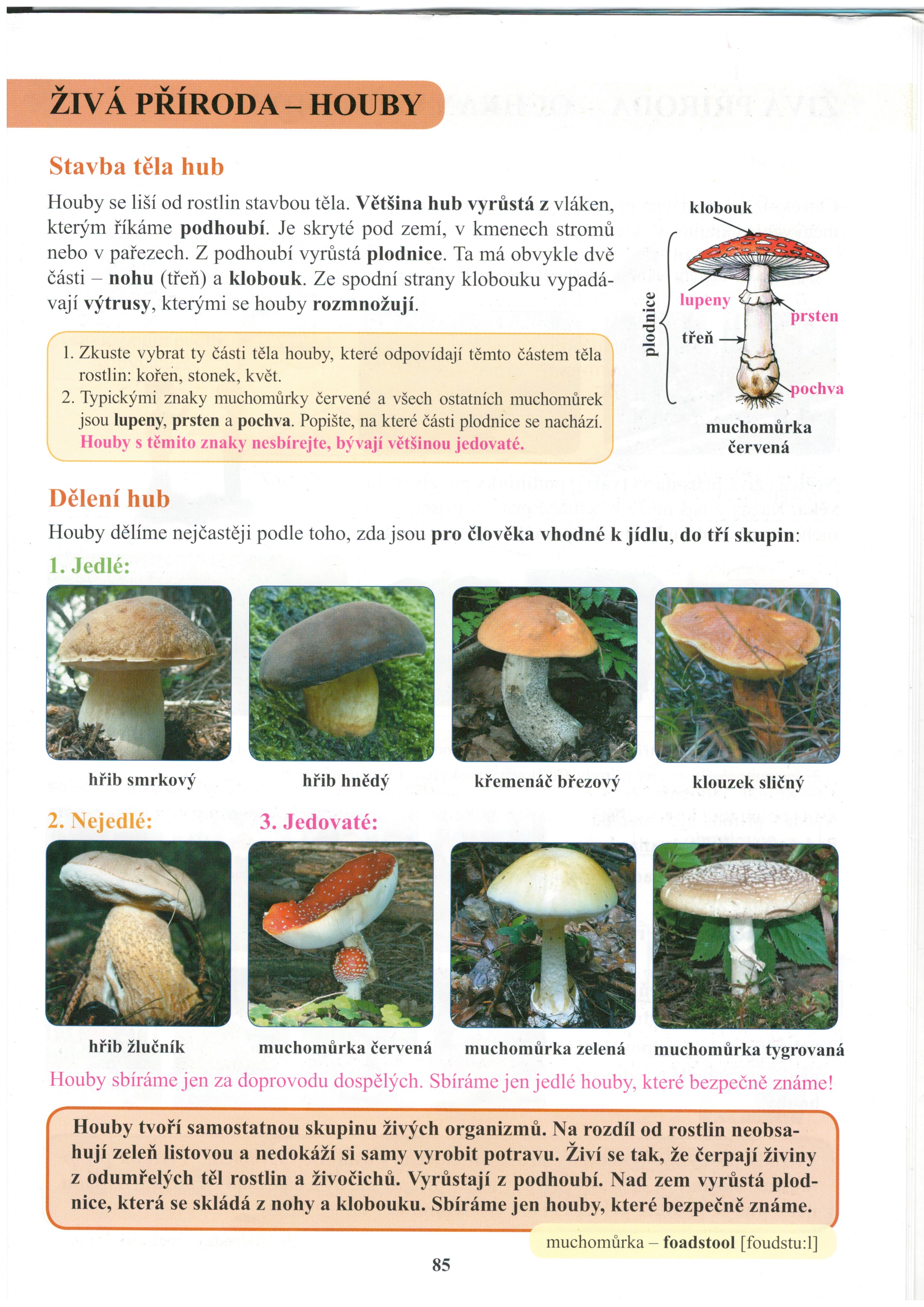ZŠ Svítkov| Třídy